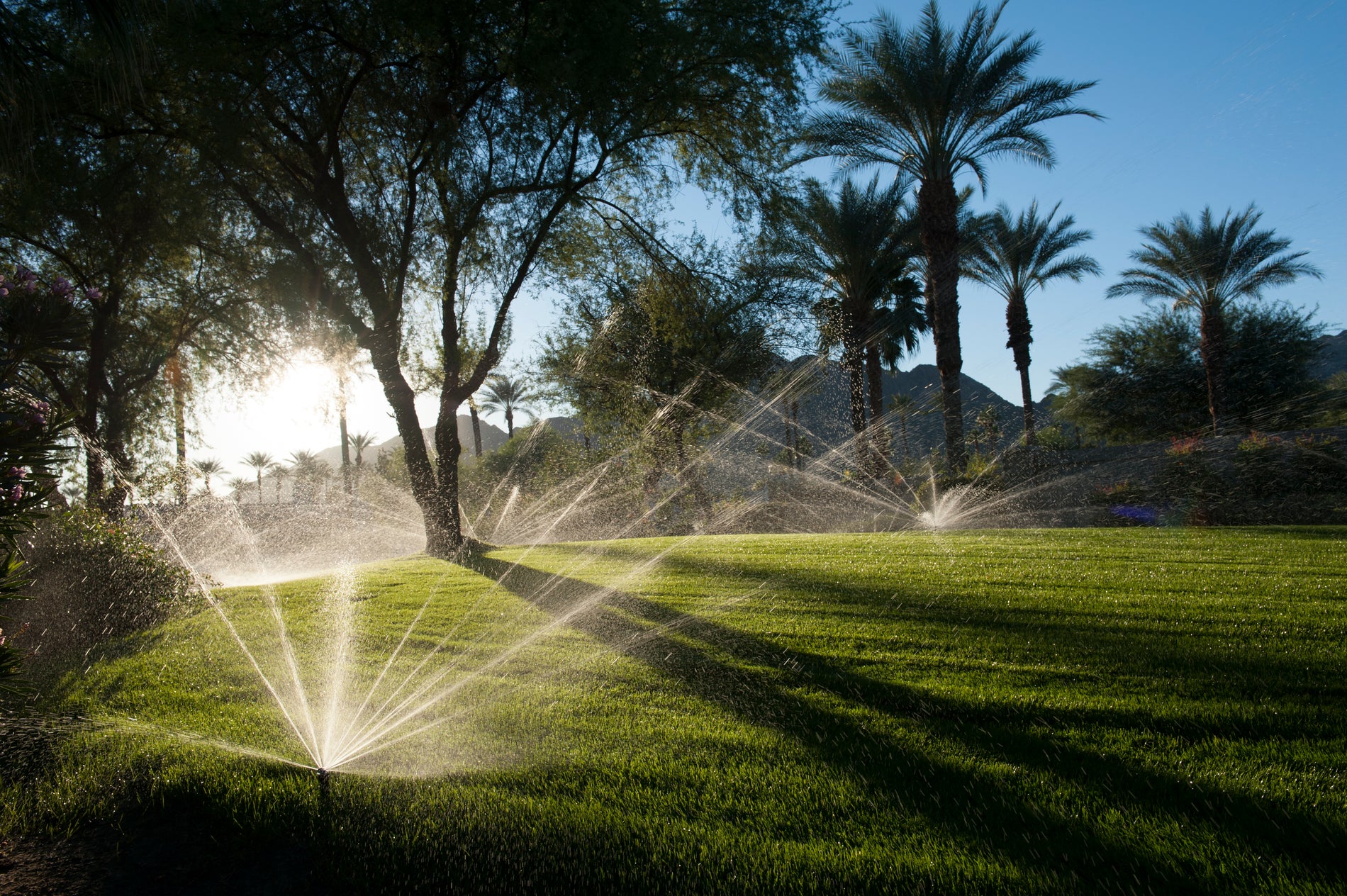 Impact Sprinklers | Turf Ag